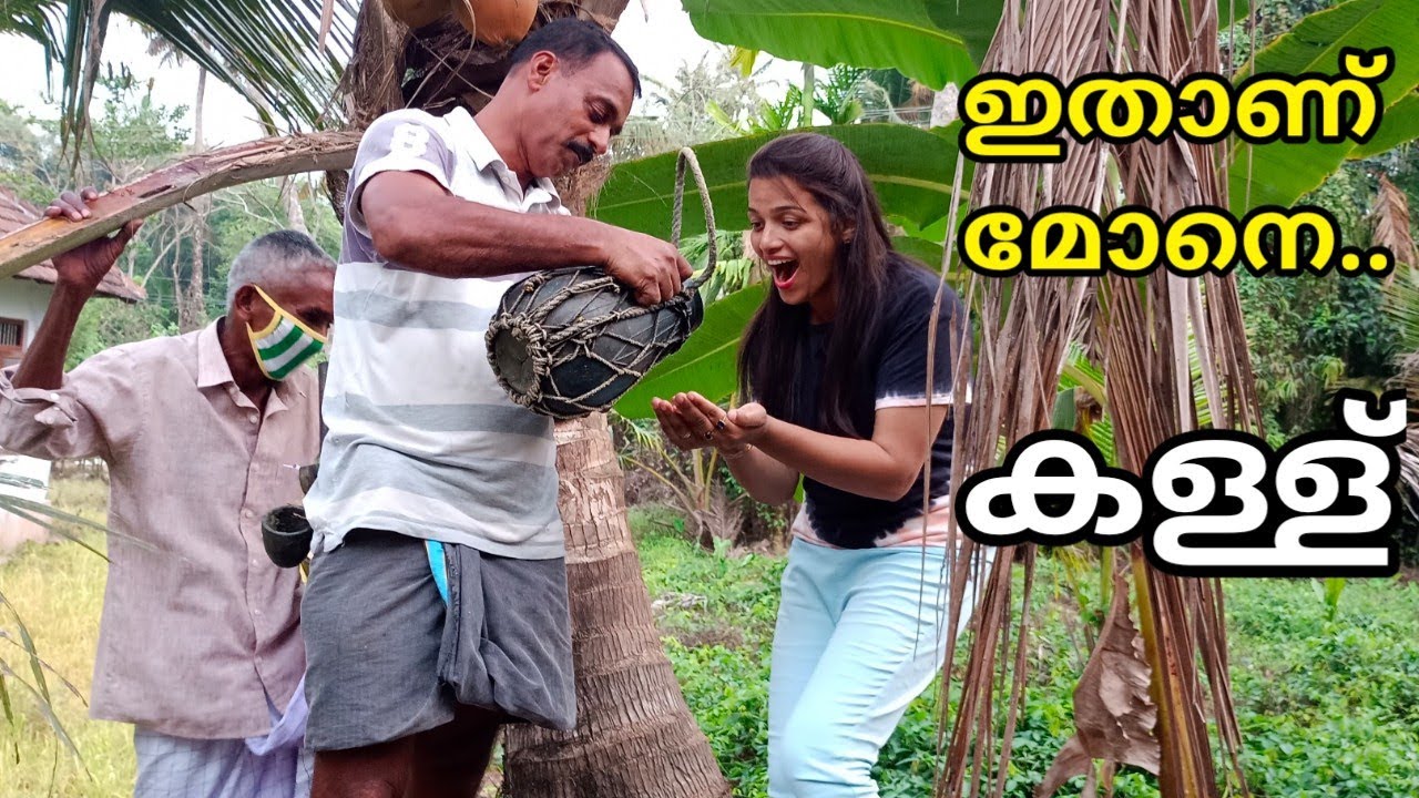 കള്ള് ചെത്താൻ പോയാലോ || Toddy Tapping Method In Kerala ( coconut tree ...