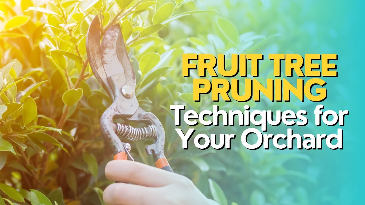Fruit Tree Pruning: Techniques for Your Orchard - YouTube
