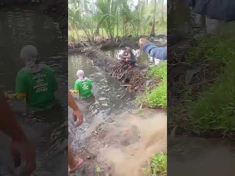 Fish pond bamin - YouTube