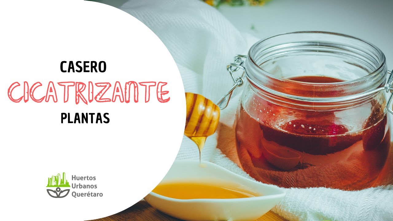 CAUTERIZAR PLANTAS, Cauterizador casero, PASTA CICATRIZANTE para ...