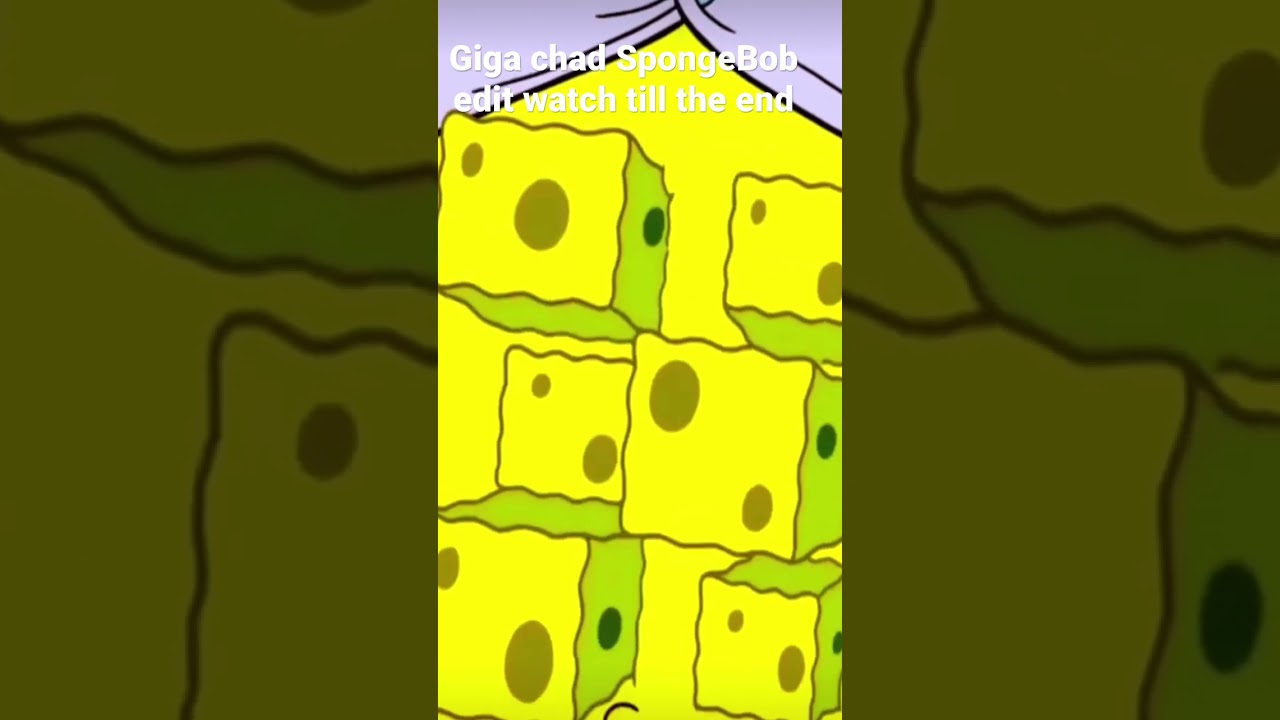 Giga chad SpongeBob edit #gigachad #shorts #viral Realtime YouTube Live ...