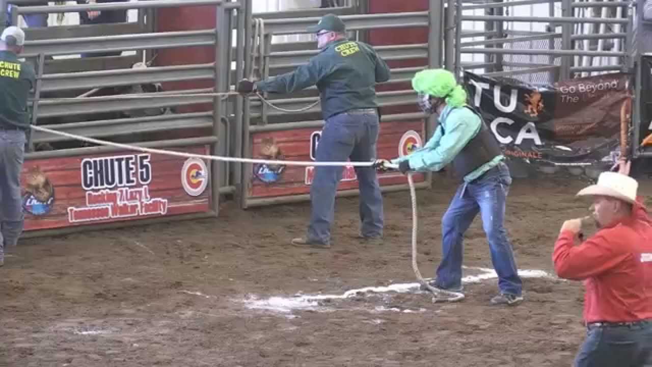 2015, Steer Decorating, Rocky Mountain Regional Rodeo - YouTube