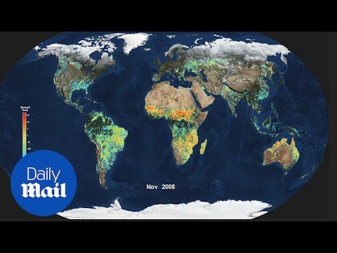 NASA map tracks fires burning around the globe - Daily Mail