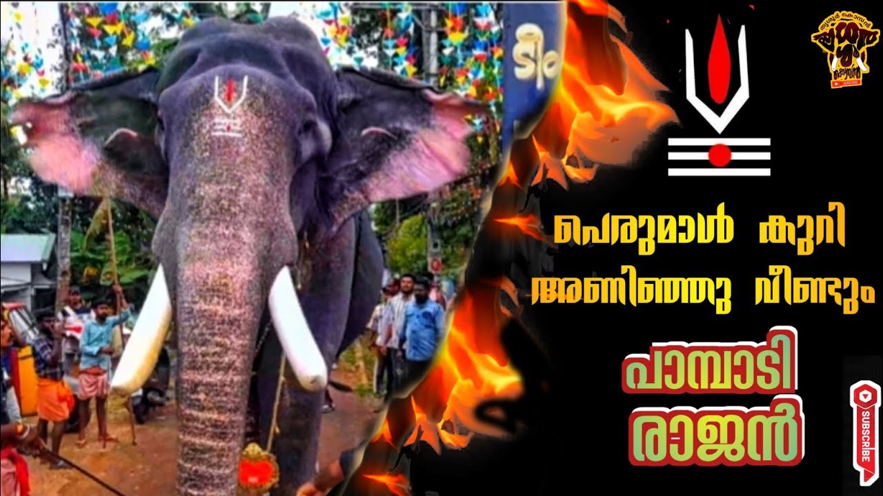 pambadi rajan | പെരുമാൾ കുറിയിൽ രാജനാന | - YouTube