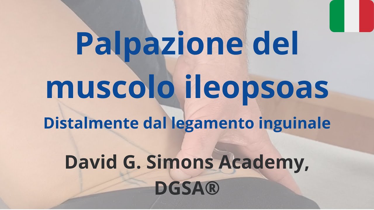 Palpazione del muscolo ileopsoas - distalmente dal legamento inguinale ...