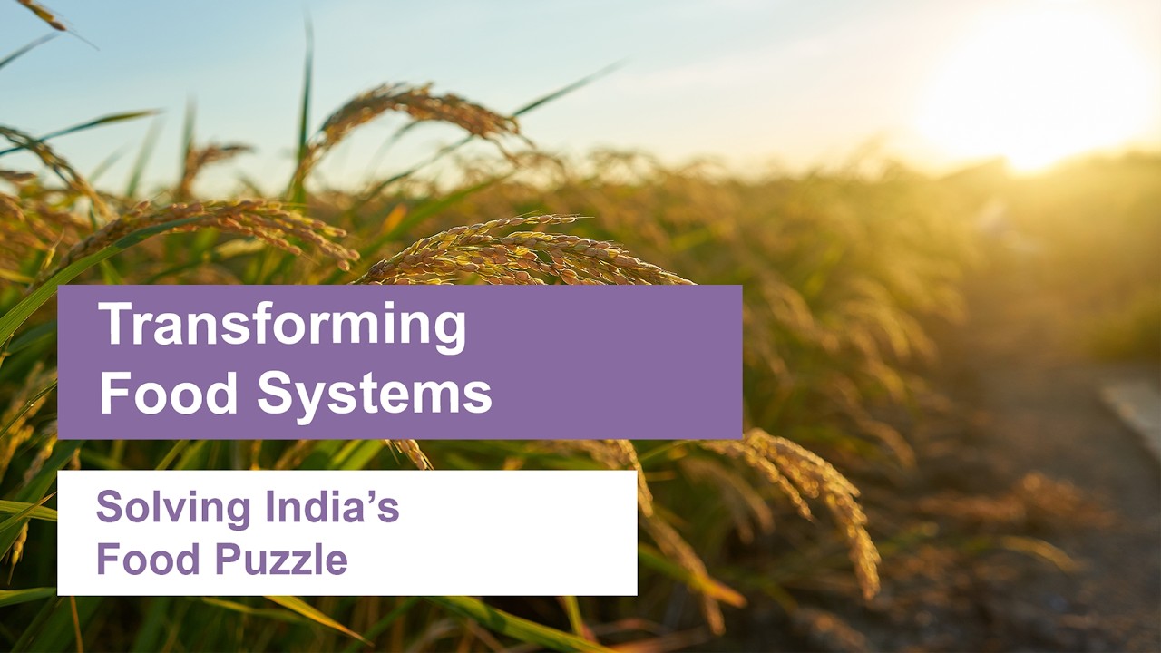 Solving India's Food Puzzle: A Coalition for Food Systems Transforma(c ...