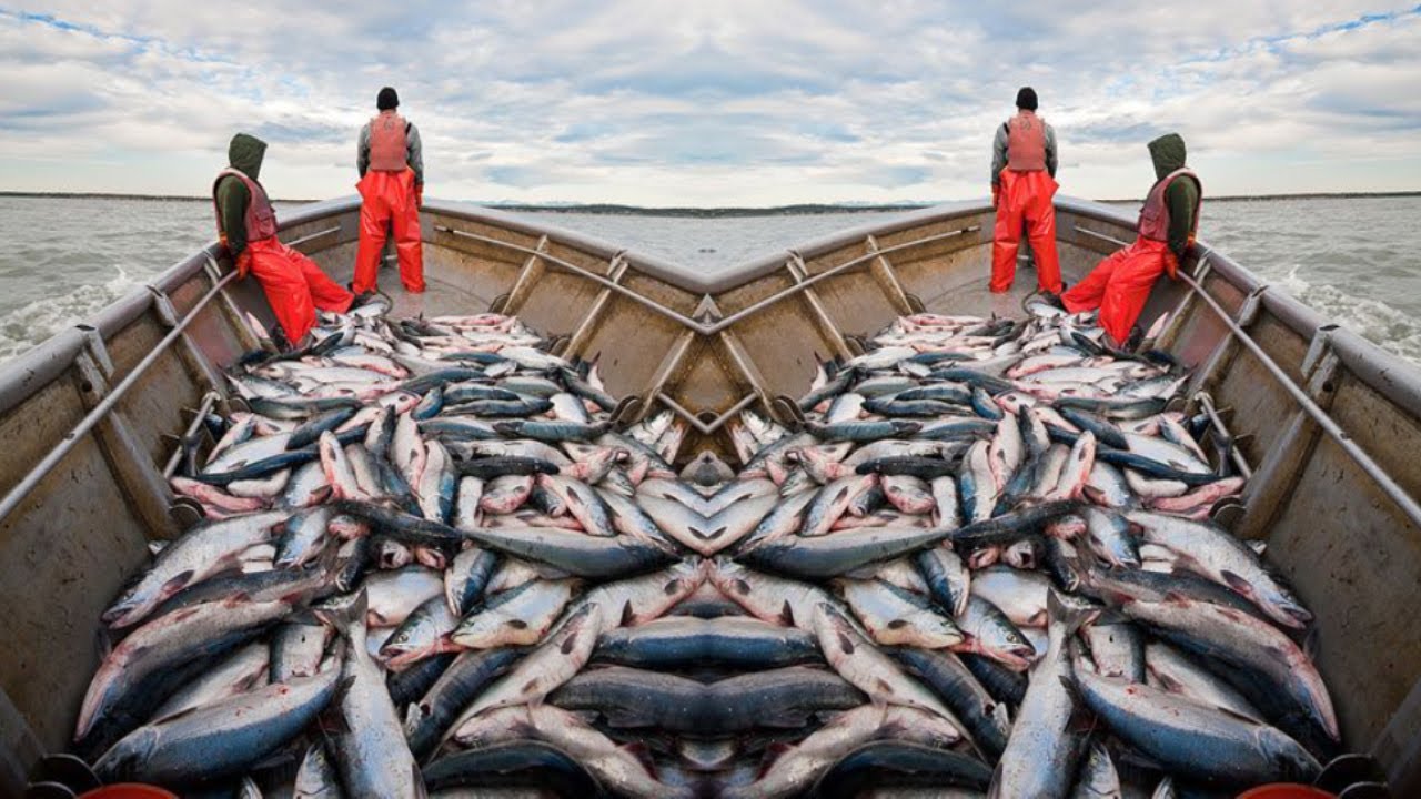 Unbelievable - BIG River | BIG Net | BIG Fish - YouTube