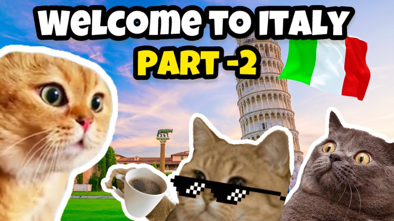 Cat Memes Family Vacations in italy Part 2 - YouTube