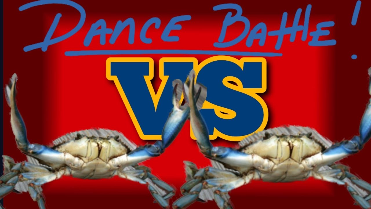 Animal Dance Off Battles - REAL CRABS DANCING 🦀 - YouTube