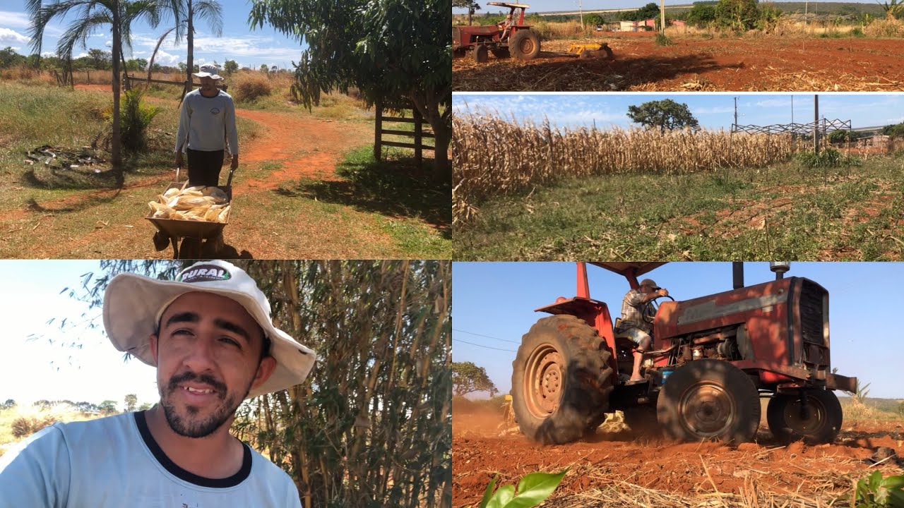 Vamos plantar mais milho verde, 1 hora de trator deu pra fazer tudo ...