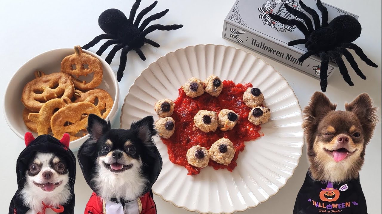 👻 Spooky Snacks: DIY Halloween Treats for Our Dogs - YouTube