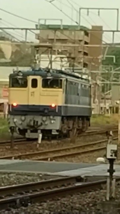 先日朝EF65PF単機の送り込み回送が、午後その釜がチキ7両牽引して向日町向けFB溶接工臨のレール輸送がありました。単8381・EF65-1133+チキ7両 - YouTube