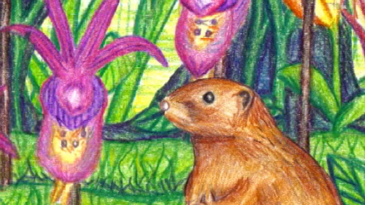 Calypso's Song : Hand-drawn Animated Short Experimental Student Film ...