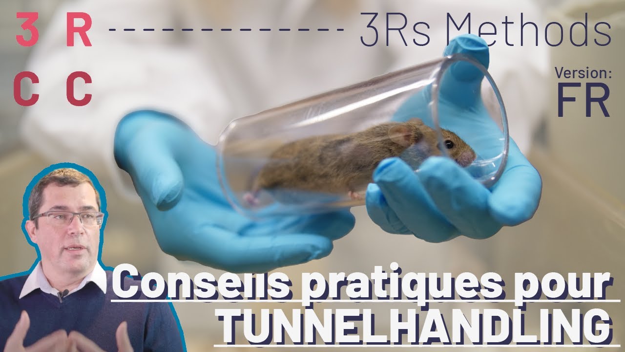 Tunnel Handling: Conseils pratiques avec Dr. Philippe Bugnon (EN and GE ...