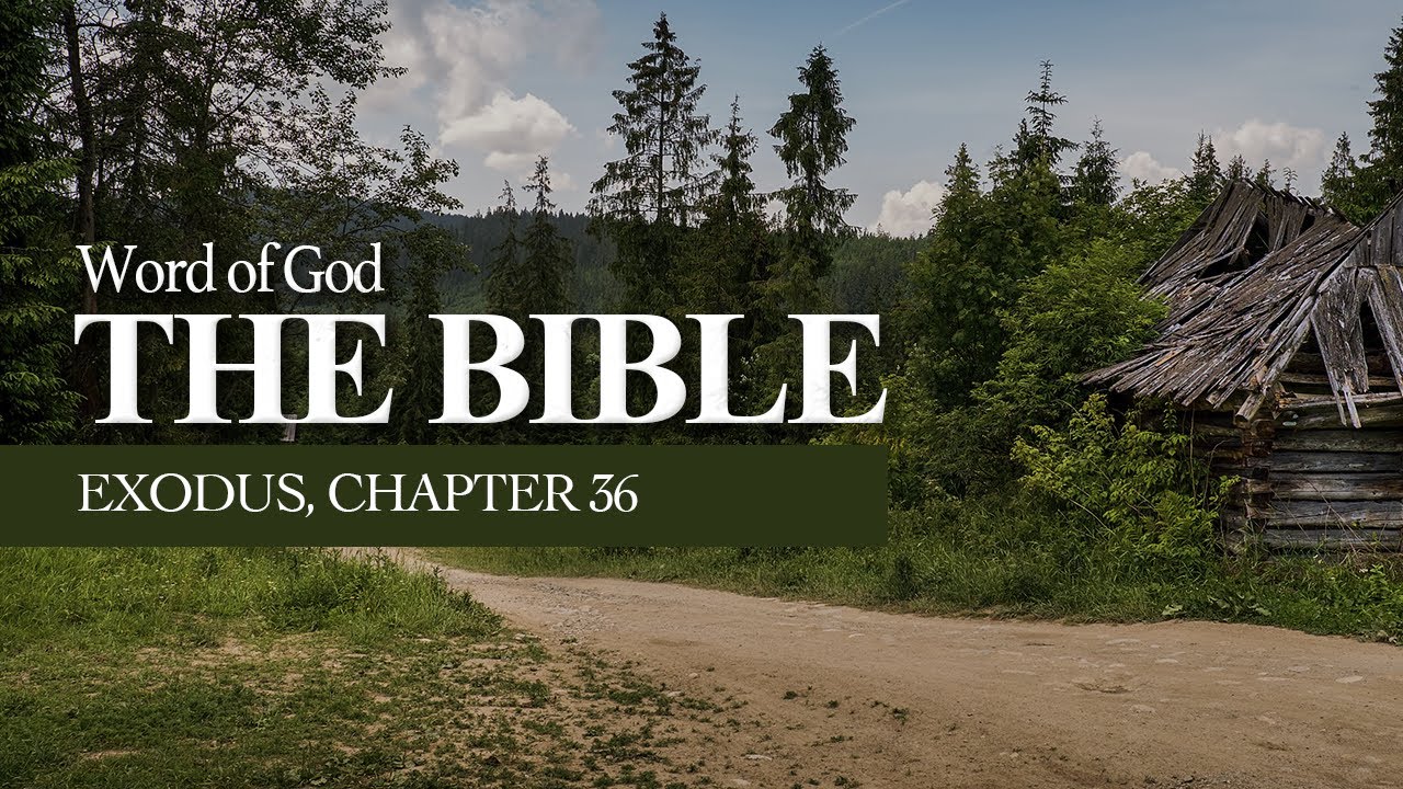 The Bible - Exodus (Chapter 36). The Israelites' Craftsmanship in ...