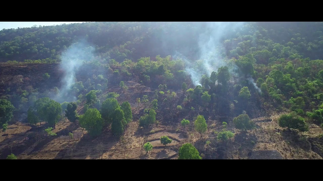 Protect The Protectors # Forest Conservation using drones - YouTube