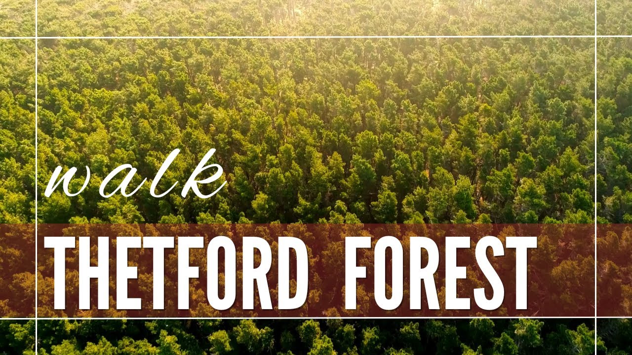 Thetford Forest High Lodge Adventures Norfolk England - YouTube