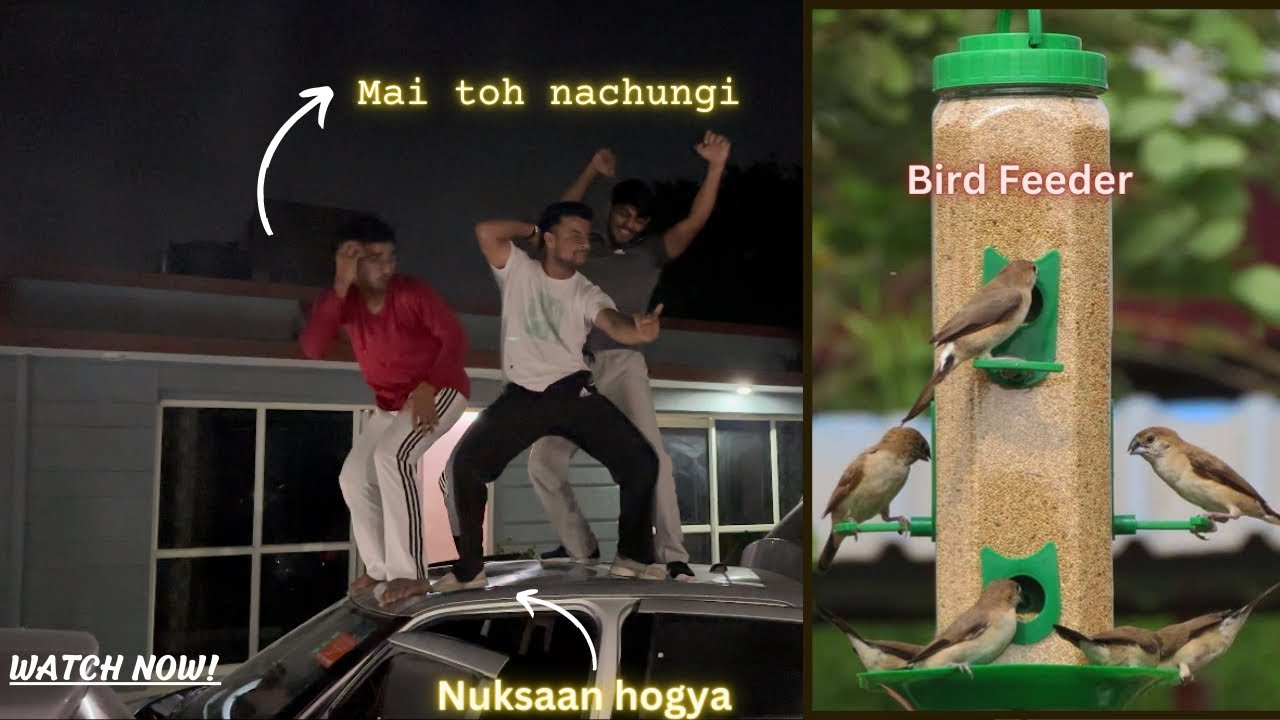 Swift Mai Hua Nuksaan | how to assemble bird feeder | Nu Keh Ri Mai toh ...