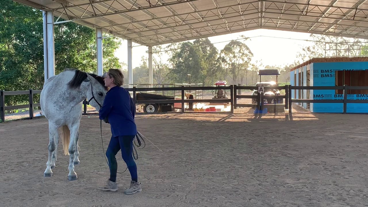 Sarah and Archie Nov 20 GW1 - YouTube