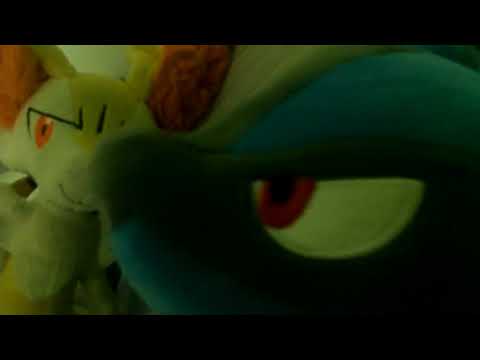 Lucario and braixen favorite YouTuber