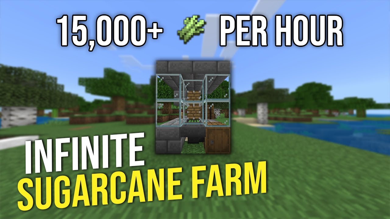 EASY 1.19+ Sugarcane Farm Minecraft *Bedrock* - YouTube