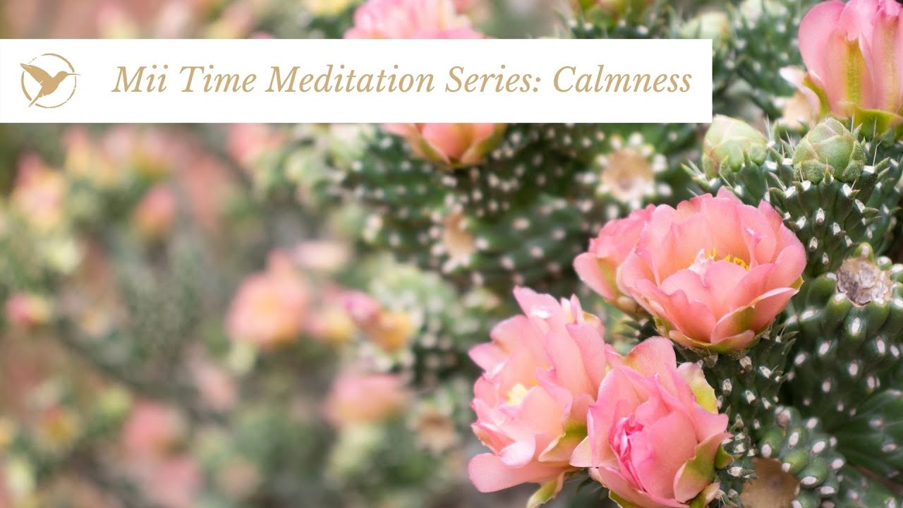 Mii Time Meditation Series: Calmness - YouTube