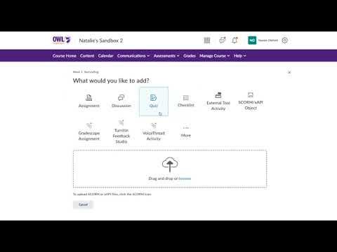 Adding Voicethread to Your Brightspace Course - YouTube