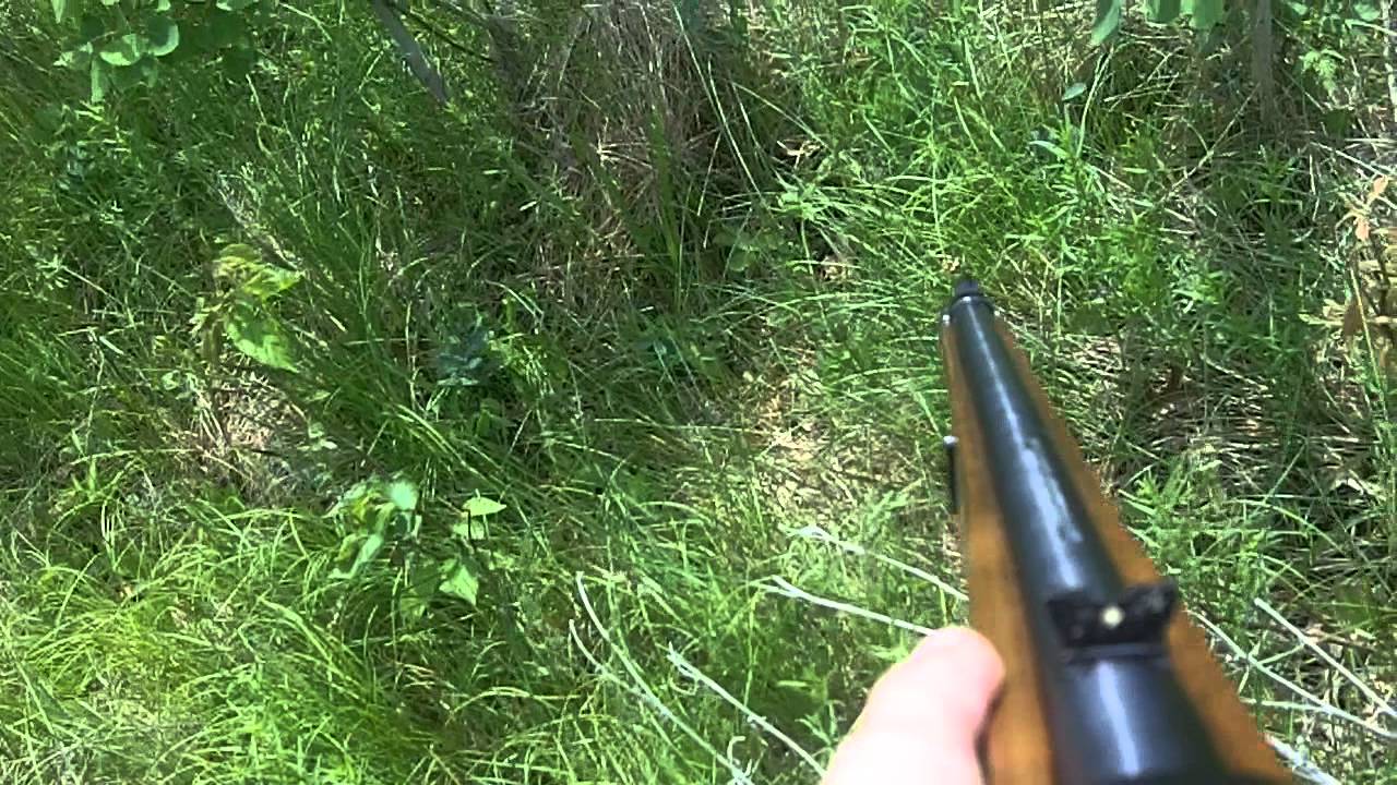 Gopher Hunting 2012 - YouTube