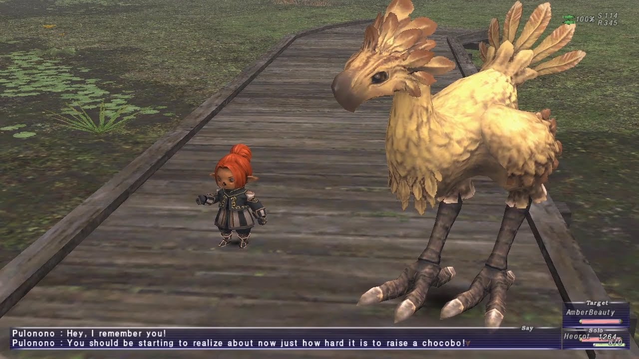 Final Fantasy XI #166, Teleport Quests: Acting in Good Faith; Healing ...