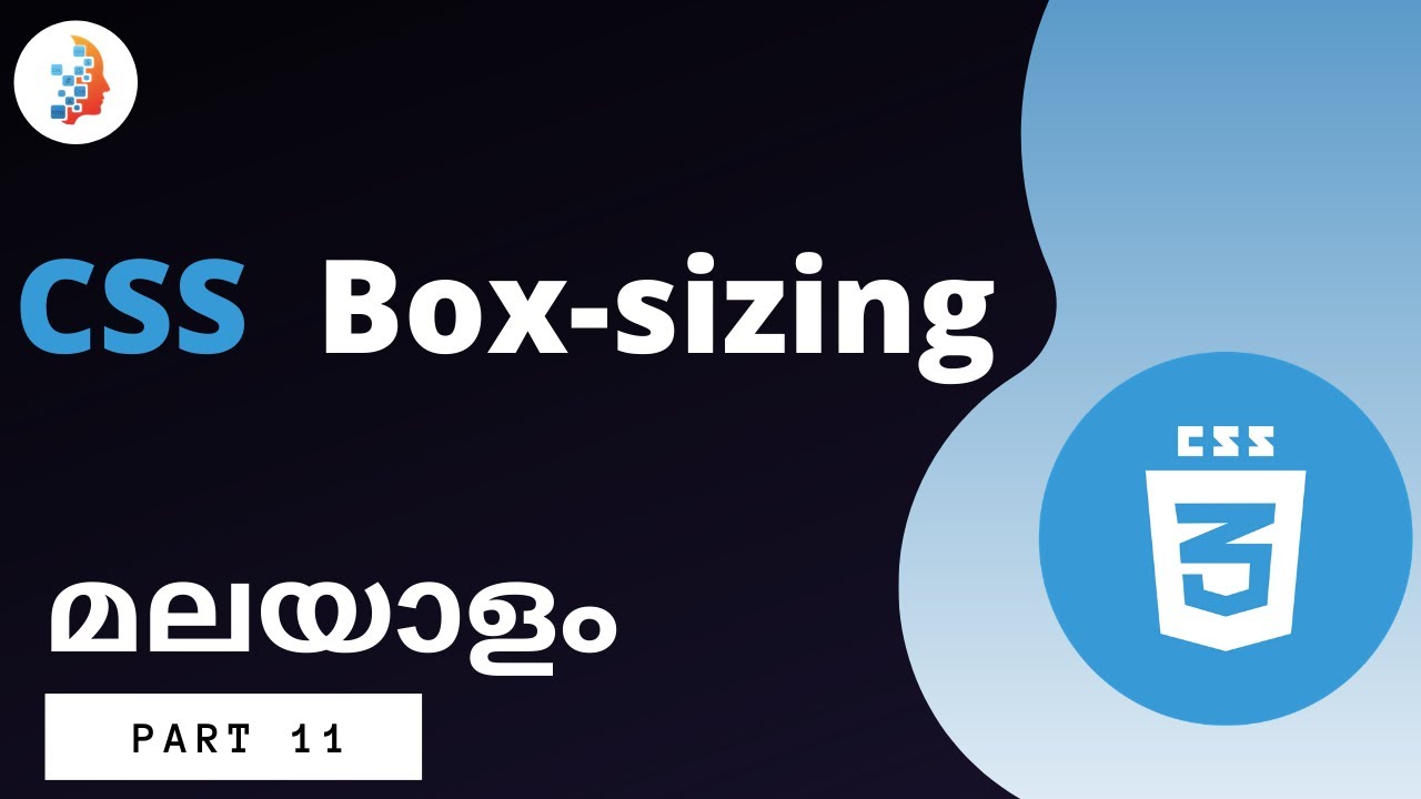 Css Box Sizing Css Part 11 Css Tutorial Beginners To Advanced 2881