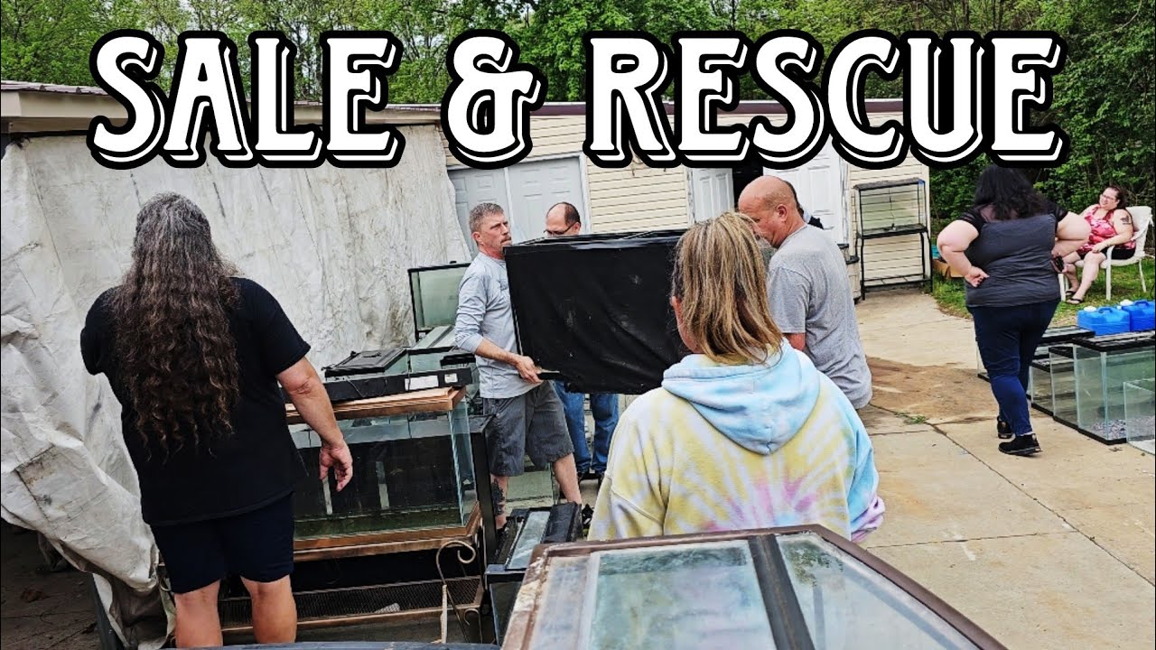 Sale & Rescue - YouTube