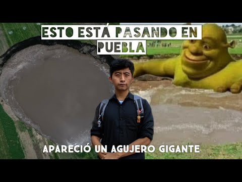 Esto está pasando en PUEBLA | El bicho y su HUMILDAD al estar en PUEBLA ...