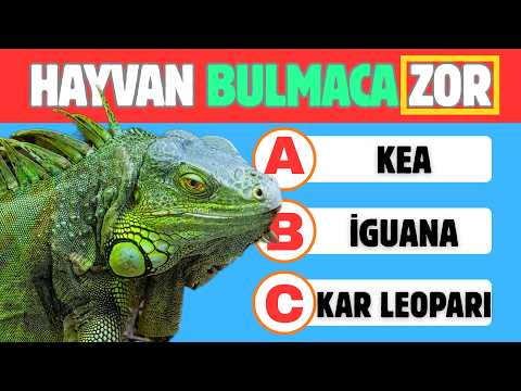 HEPSİNİ DOĞRU YAPMAN İMKANSIZ!🤔🐆 - Hayvan Bulmaca Zor[20 Soru]