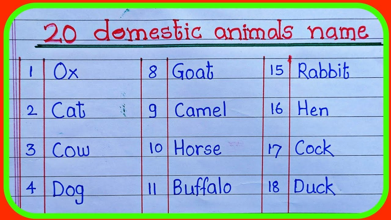 20 domestic animal name |20 pet animals name|domestic animals names in ...