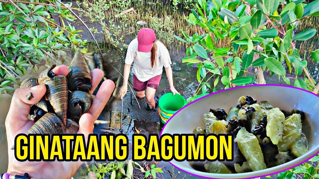 Ginataang Bagumon/catch clean cook #fyp #catchandcook - YouTube