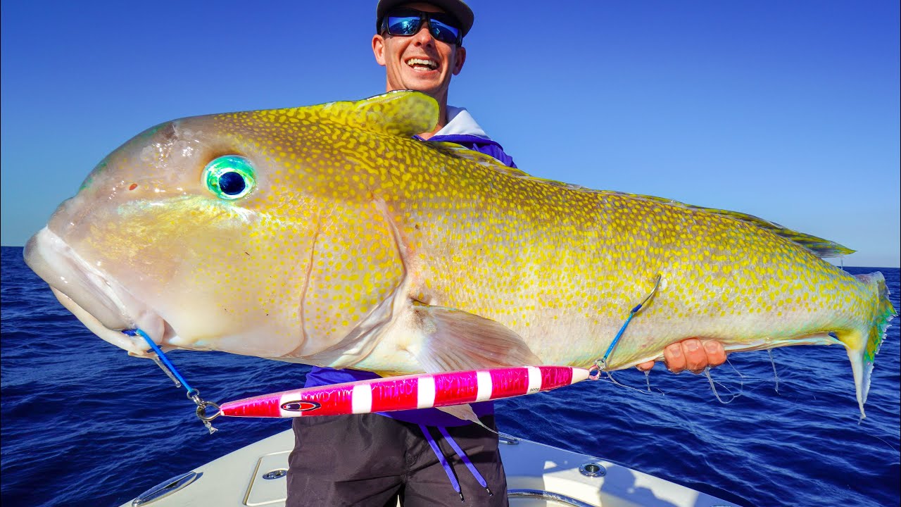 MASSIVE Tilefish From the DEEP! Catch Clean Cook (Slow Pitch Jigging)