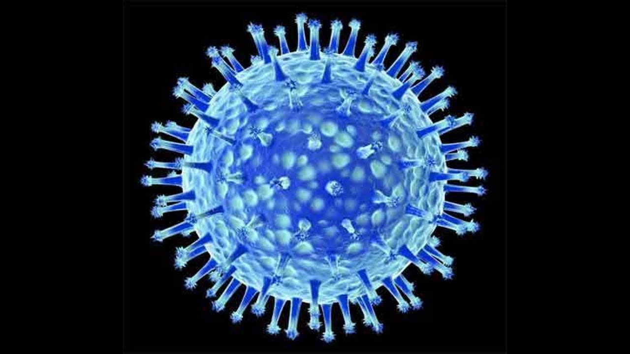 Novo vírus H2N3 é mortal e já circula pelo Brasil - Fake News. - YouTube