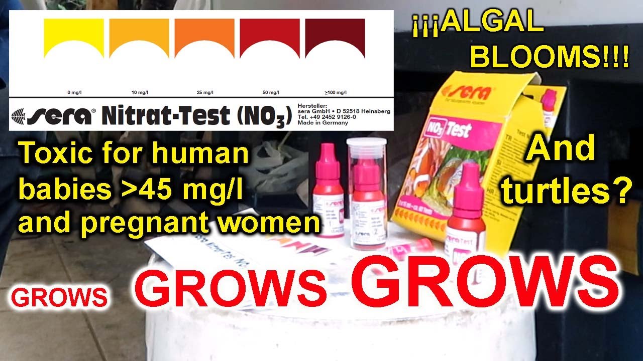 How you test Nitrates with the Sera GmbH Test Kit for aquariums and ...