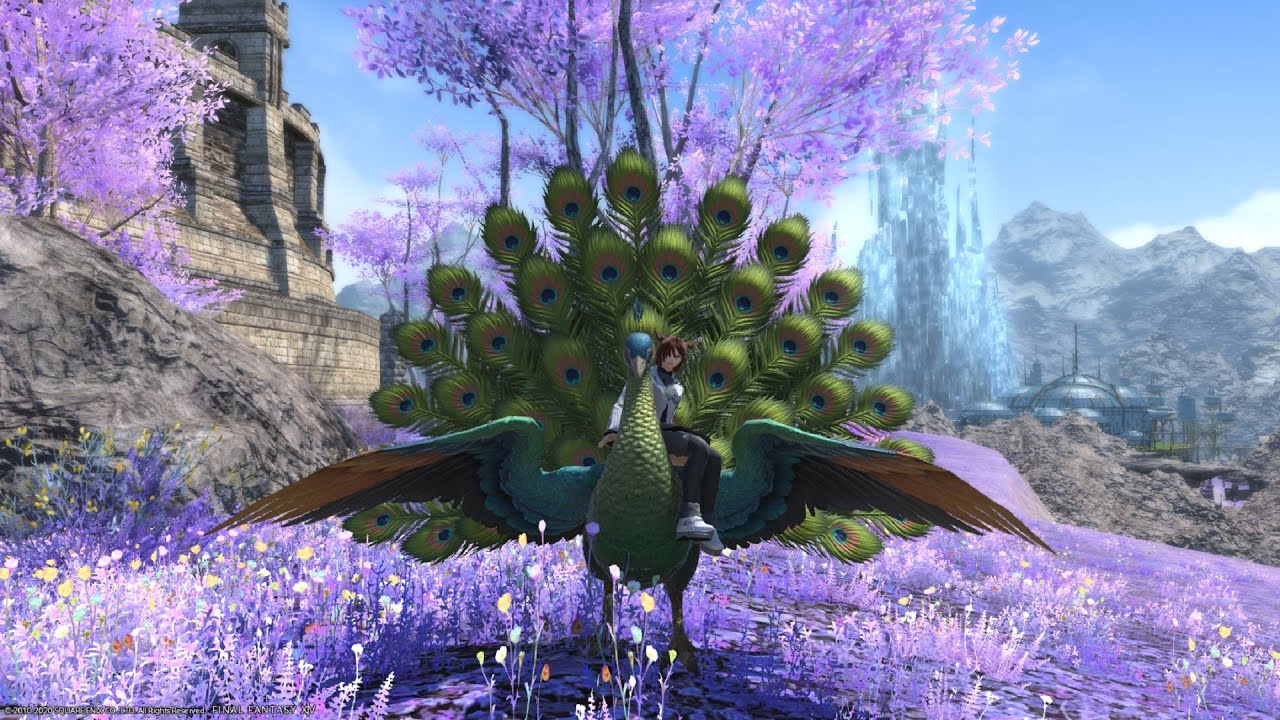 Final fantasy XIV - Kingly peacock mount - YouTube