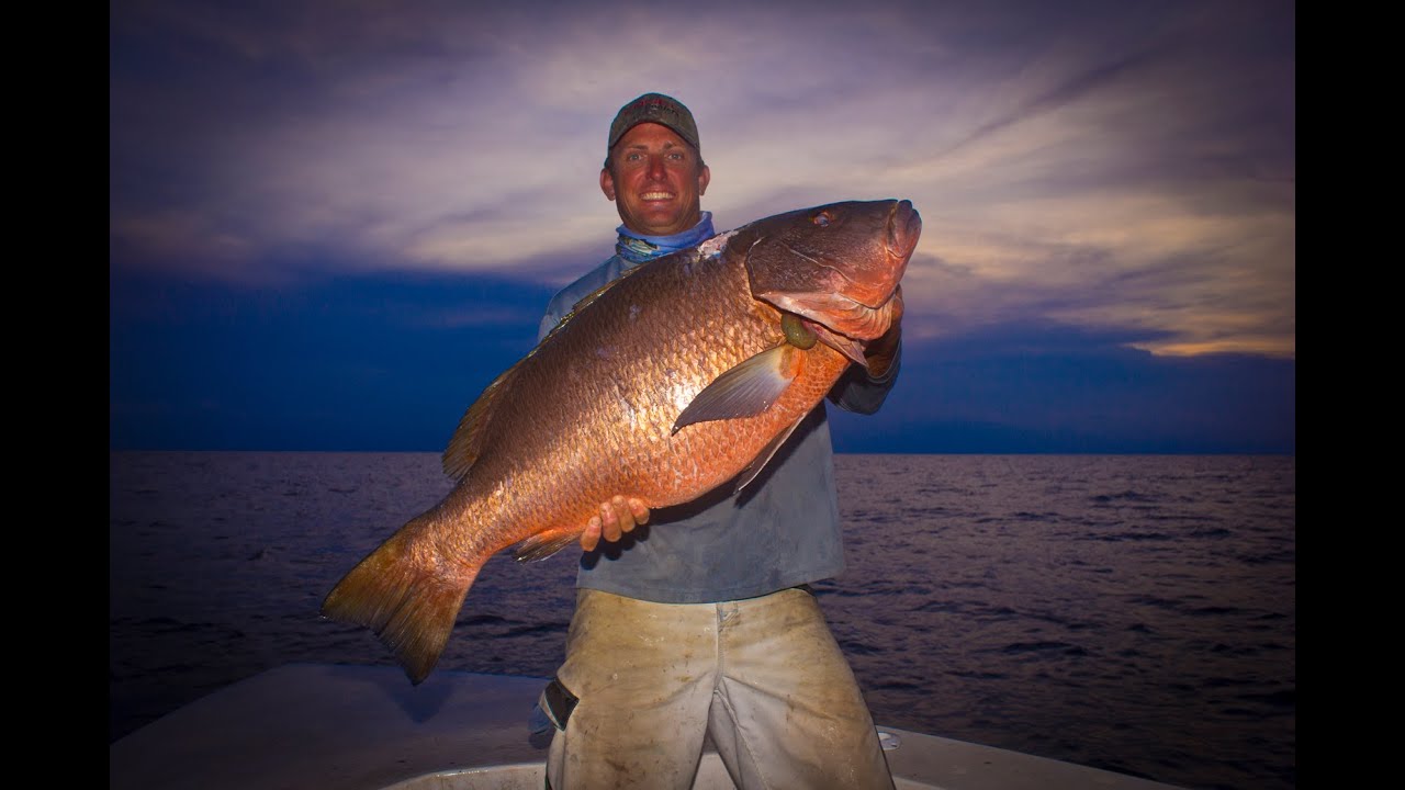 SPEAR FISHING! FILLETING! COOKING! EATING!!!! DMFD!!! - YouTube