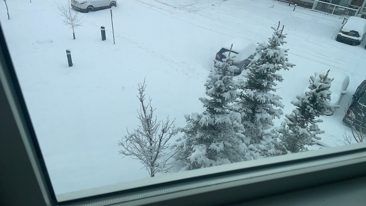 Another snowy day - YouTube