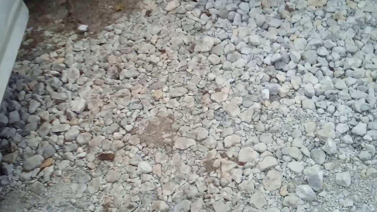 98 ford ranger 351 swap - YouTube