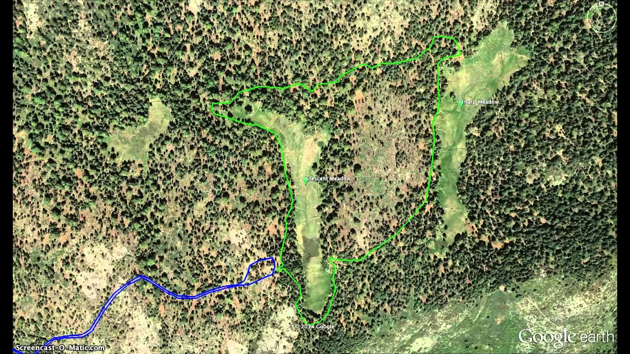 Giant Forest Google Earth Tour - YouTube