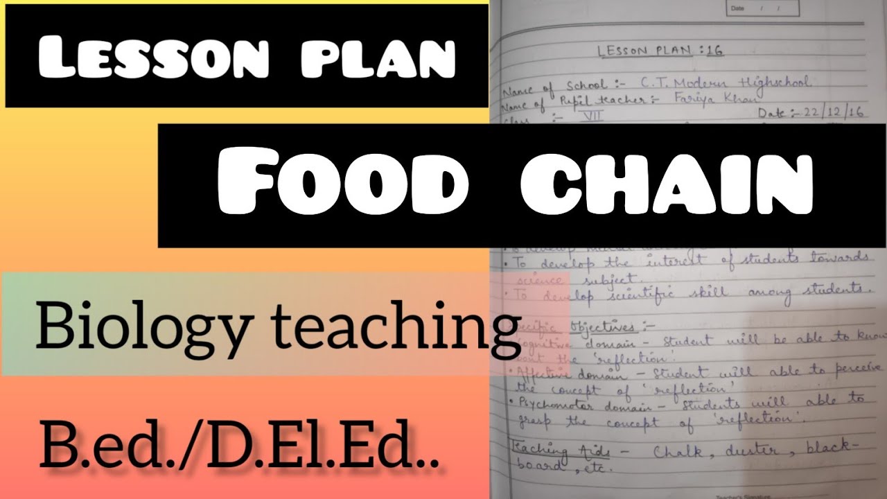LESSON PLAN ON FOOD CHAIN FOR BIOLOGY TEACHING || B.Ed ||MGKVP ...