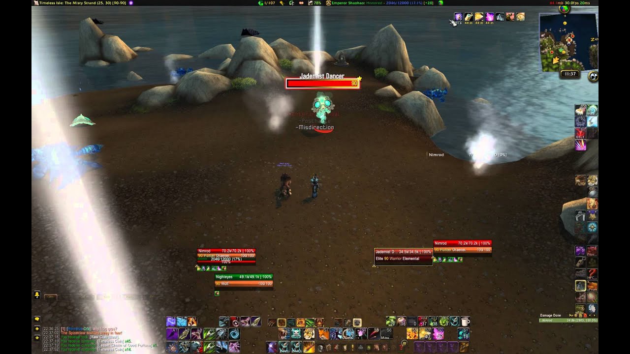 World of Warcraft - Hunter Misdirection bug - YouTube