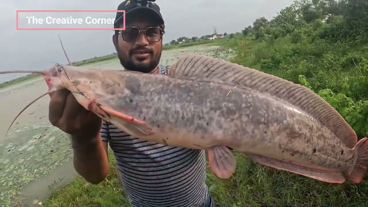 "Ultimate Catfish Fishing Rod – Catch More Catfish with the Best Gear!" - YouTube