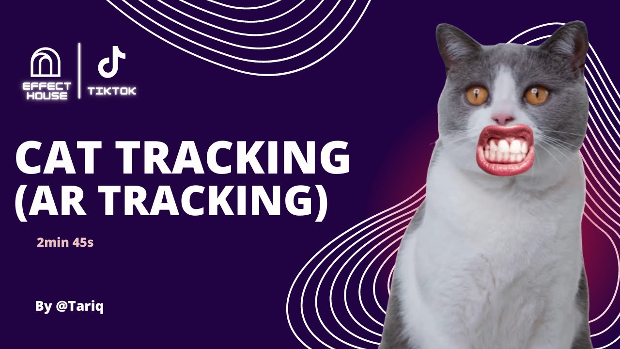Apply Animation to Pet Tracker | EH Tiktok - YouTube