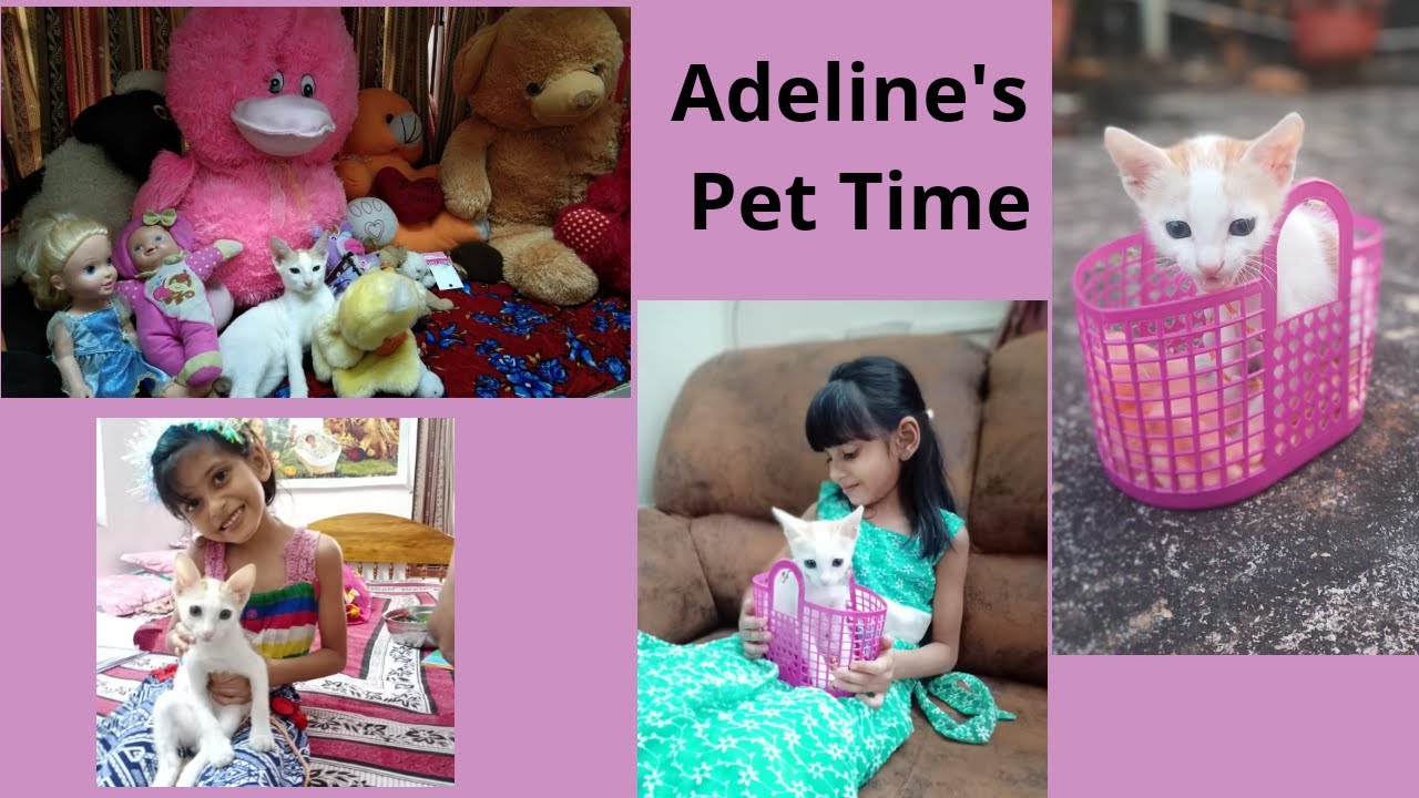 Pet Time - YouTube
