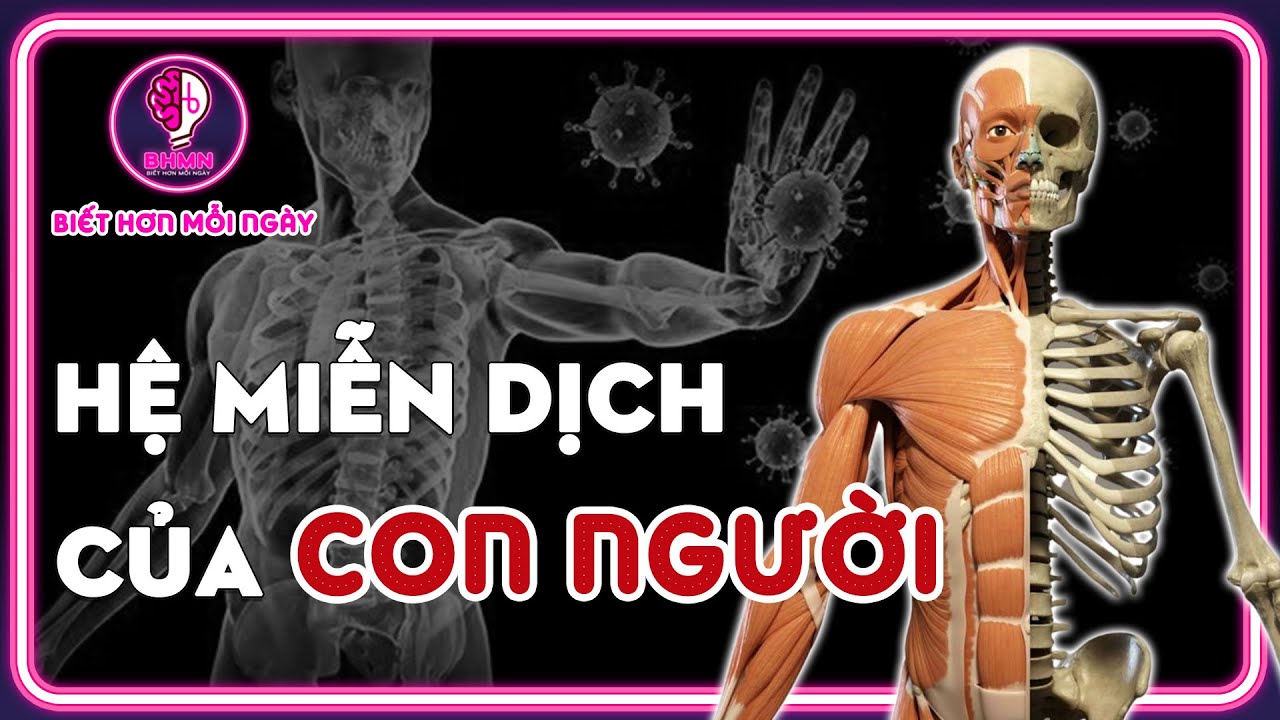 Hệ miễn dịch của con người 💪 Khoa học khám phá | Biết hơn mỗi ngày ...