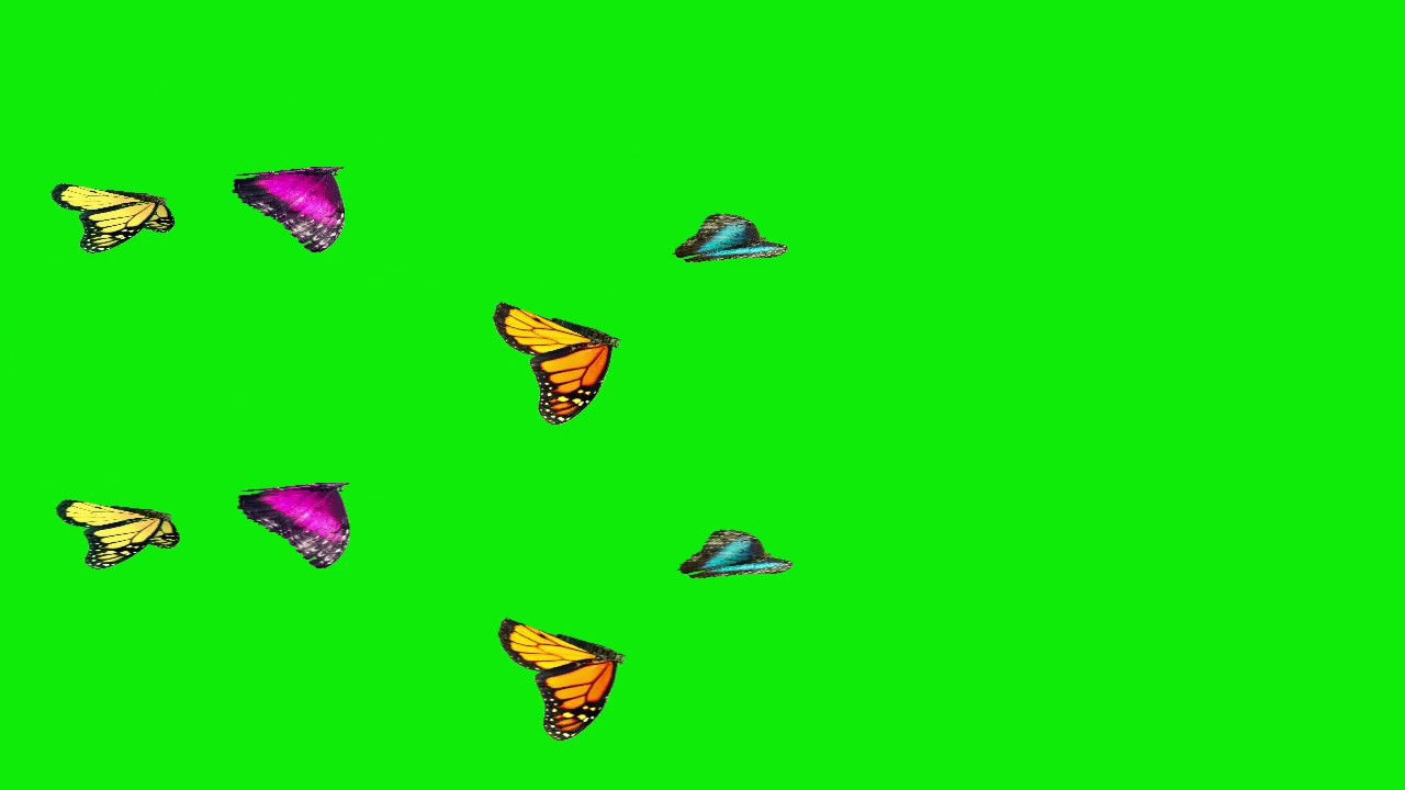 Green screen effects butterflies effect | butterflies green screen ...